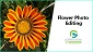 Flower Photo Editing Service | Clipping path service